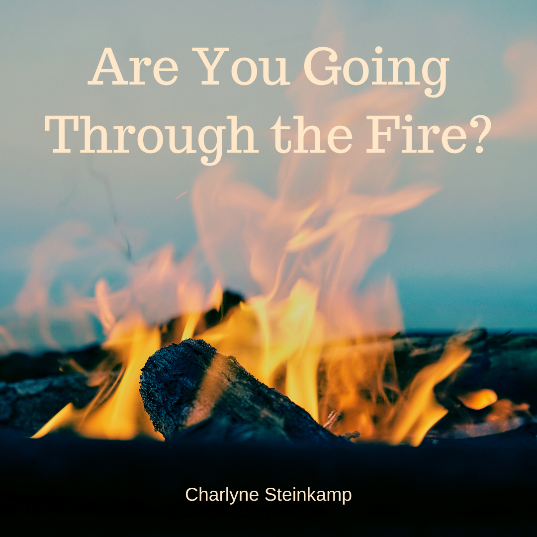 ARE YOU GOING THROUGH THE FIRE – Rejoice Marriage Ministries Bookstore